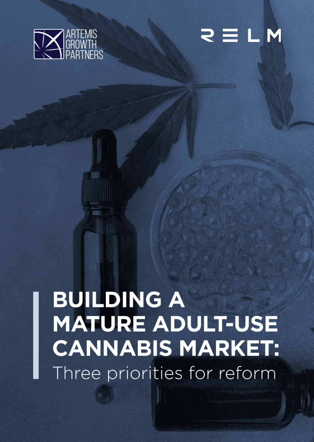 Relm Becomes First Specialty Insurer for Innovative Industries with 50 ...